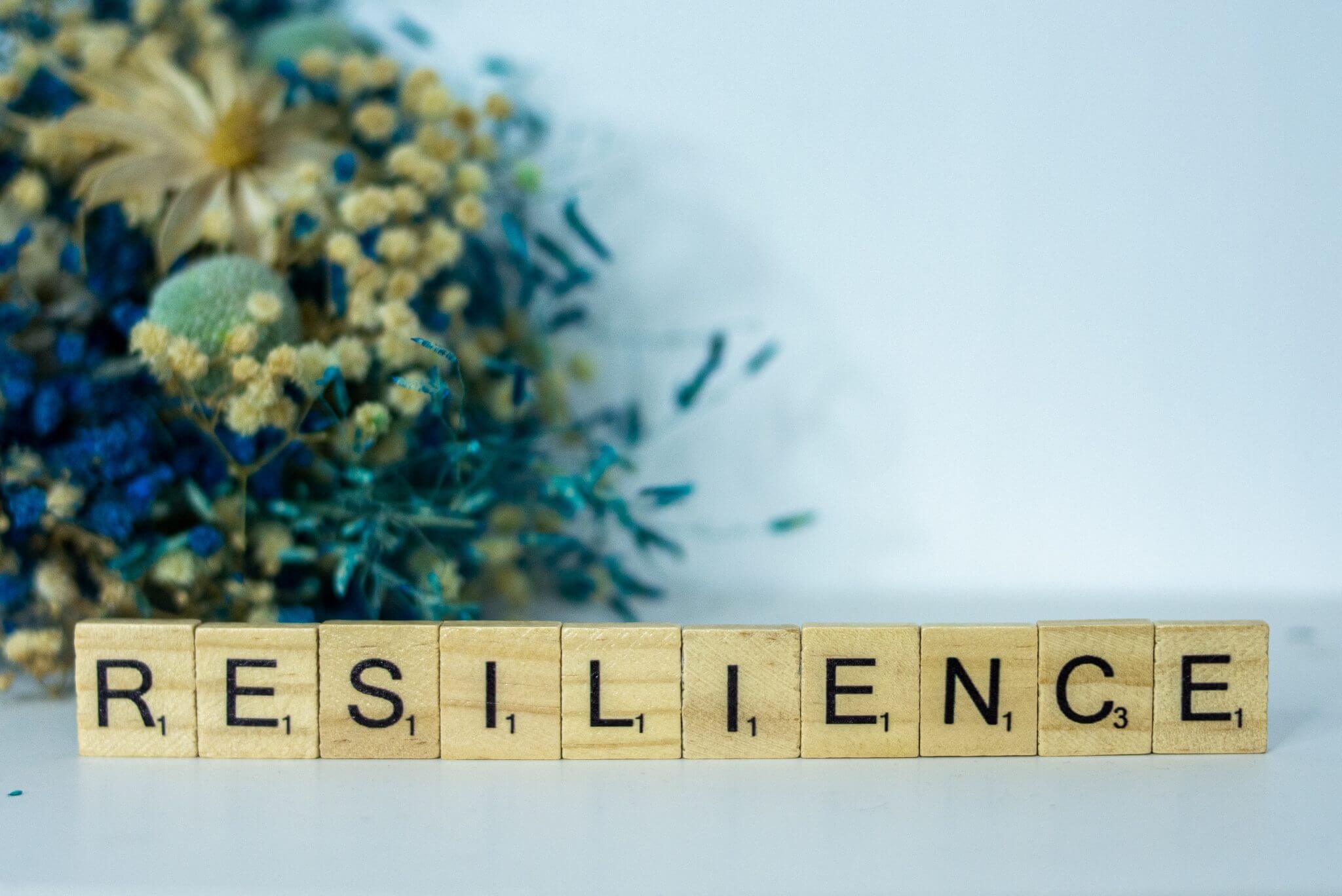 Chapter 4 – Building Resilience and Overcoming Life's Challenges: A ...